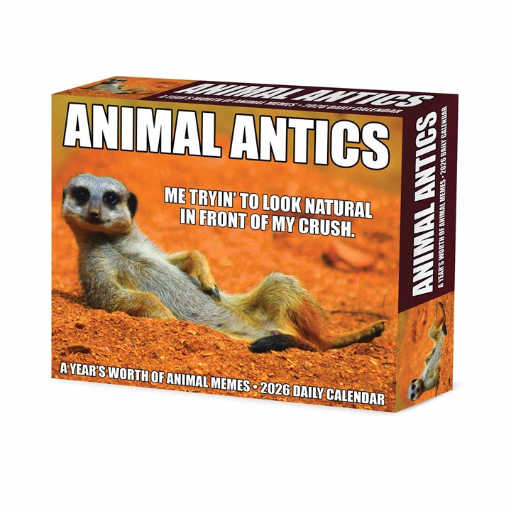 Animal Antics Desk Calendar 2026